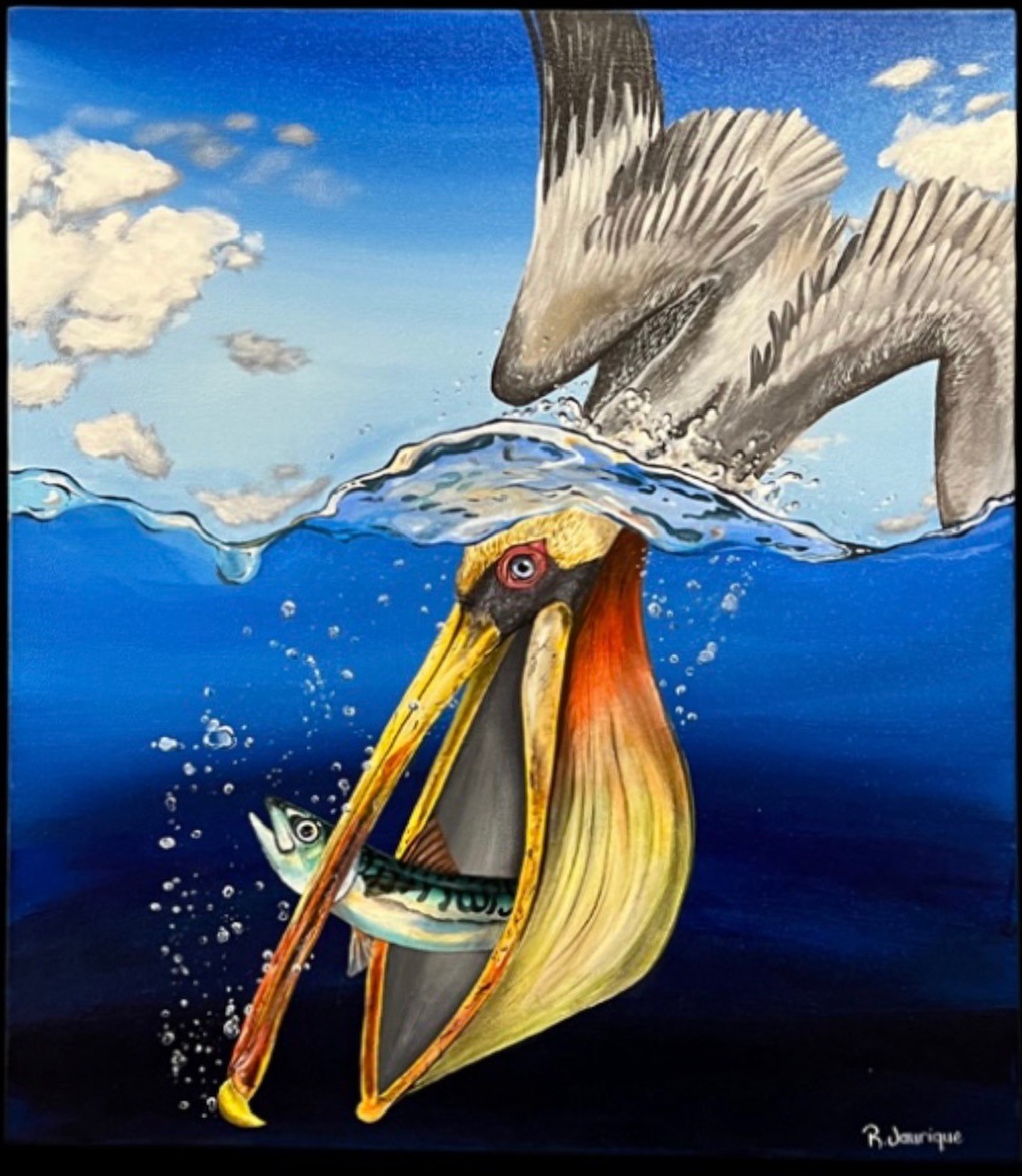 Valuable Resources – Morro Bay Bird Festival